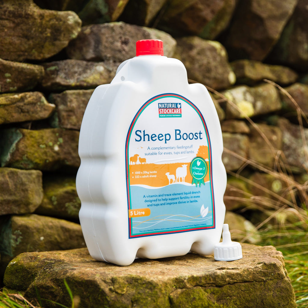 Sheep Boost - Sheepproducts.ie
