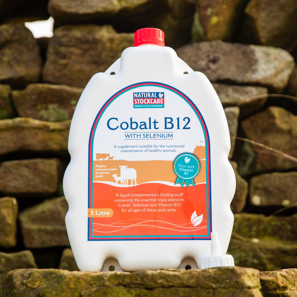 Cobalt B12 with Selenium - Sheepproducts.ie