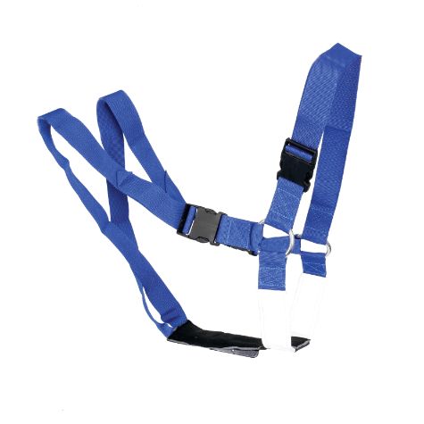 Super Blue Ram Harness – Sheepproducts.ie