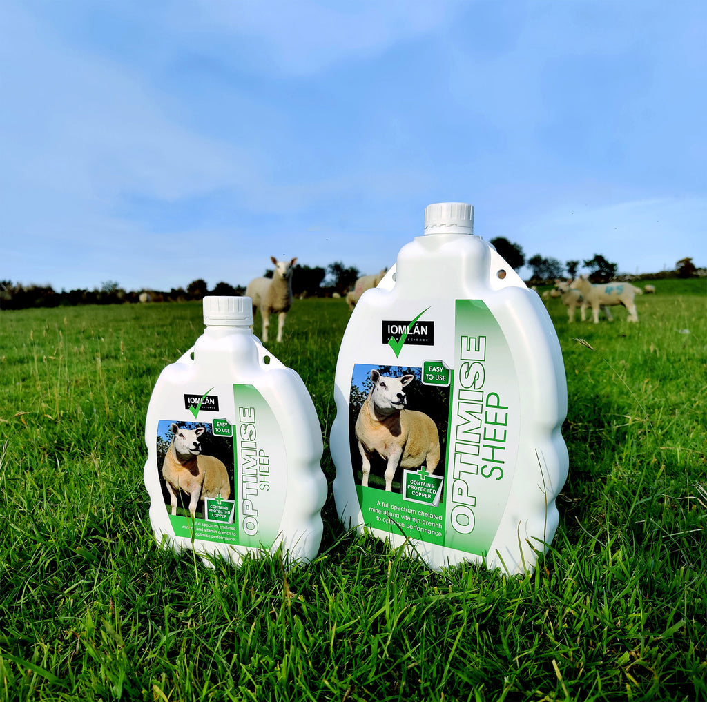 Optimise sheep drench (Special Offer) – Sheepproducts.ie