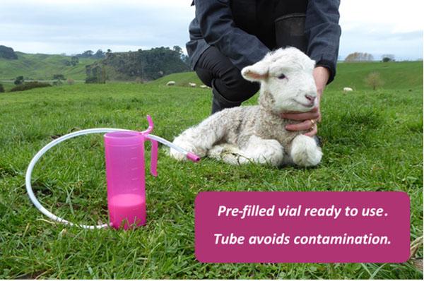 Antahi Trusti Lamb tuber – Sheepproducts.ie