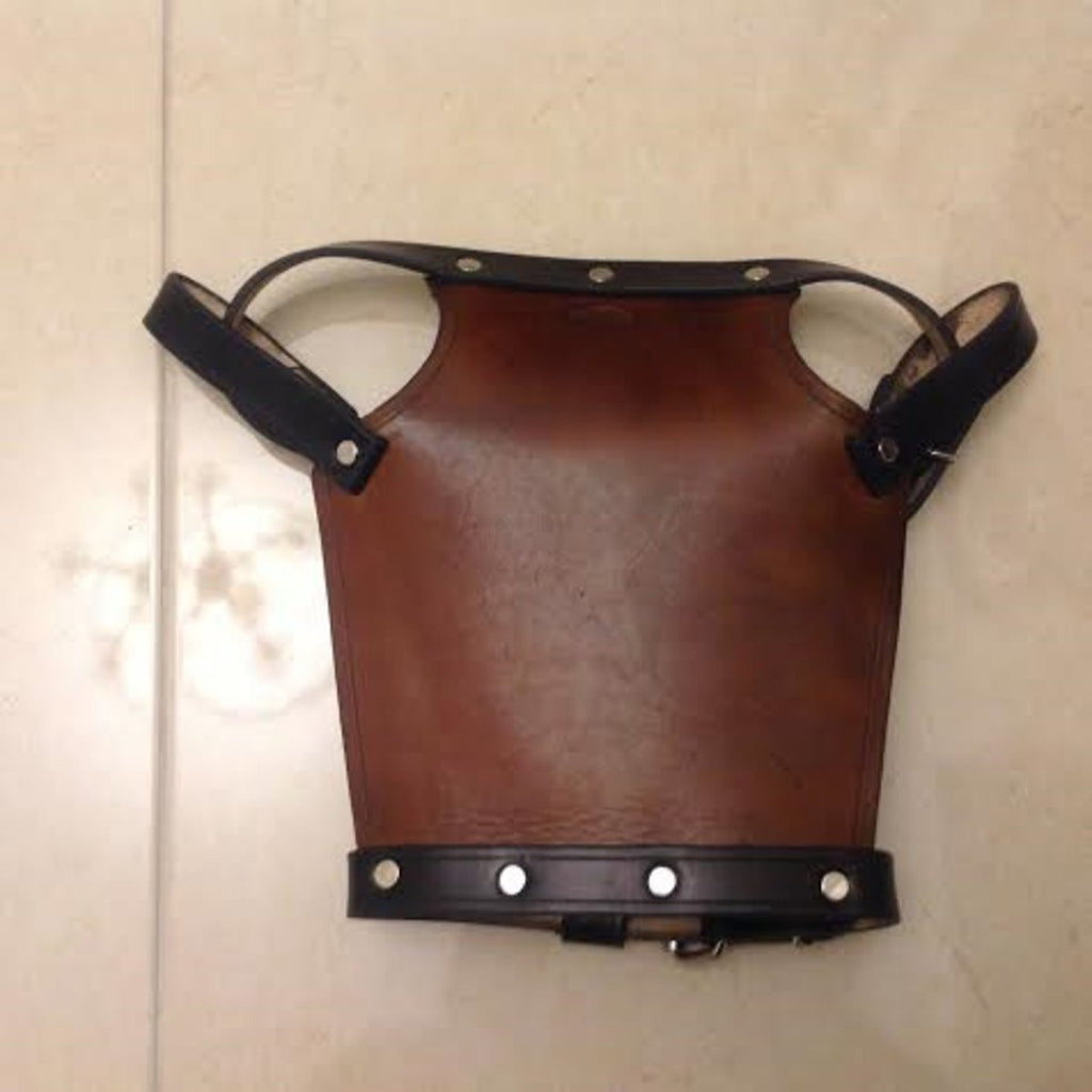 Ram Guards – Sheepproducts.ie